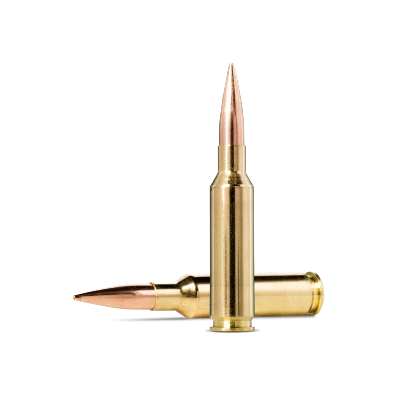 Norma Golden Target 6,5 Creedmoor 130gr Ammunition